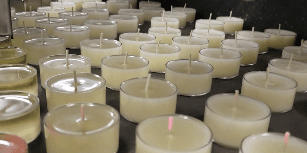 TN 30 Hot Melt Filler | Automatic Hot Melt Filling | ProSys